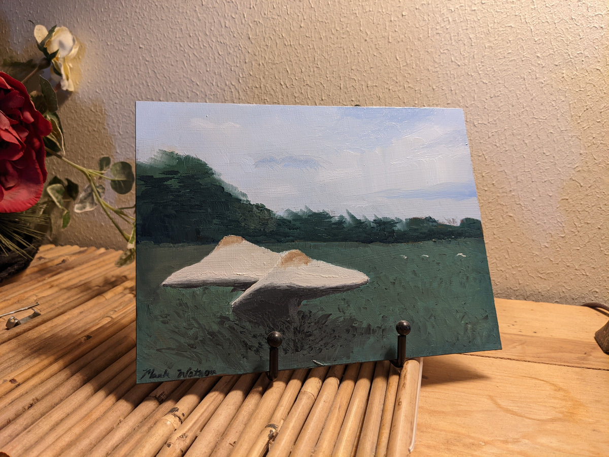 Gnome Homes – Mark Watson Art